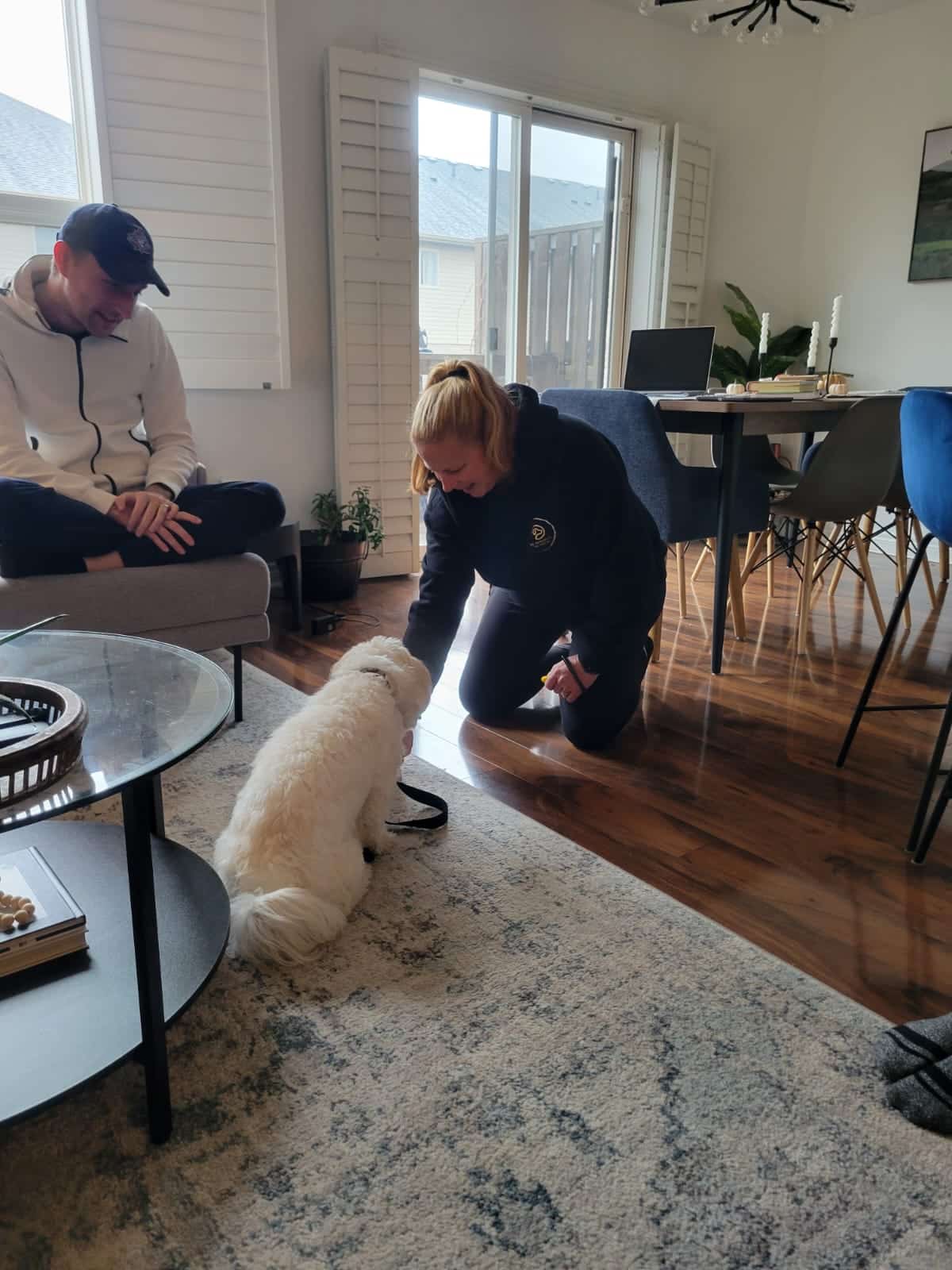 Why K9 Principles In-Home Private Training is the Best Choice for Dog ...