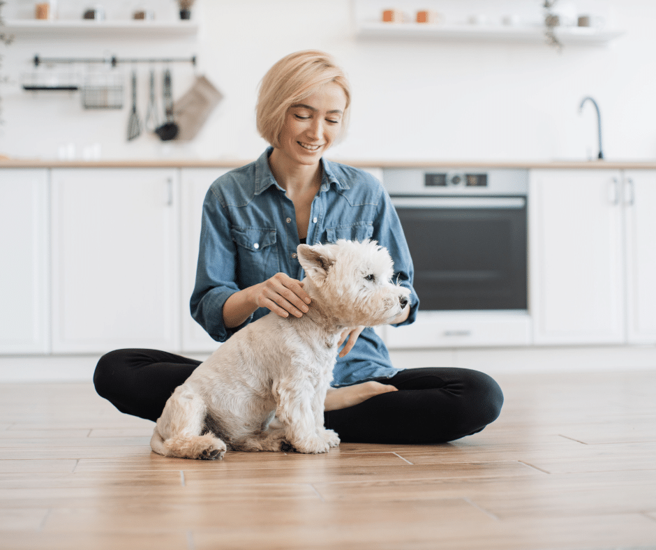 Understanding the Four Quadrants of Dog Training: A Comprehensive Guide ...